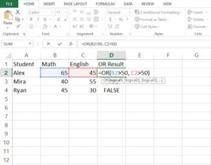 How to use OR function in Excel?