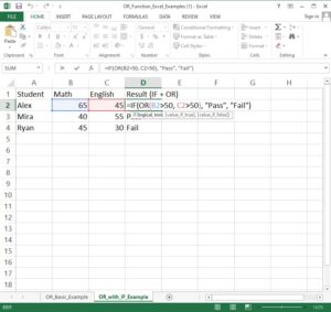 How to use OR function in Excel?